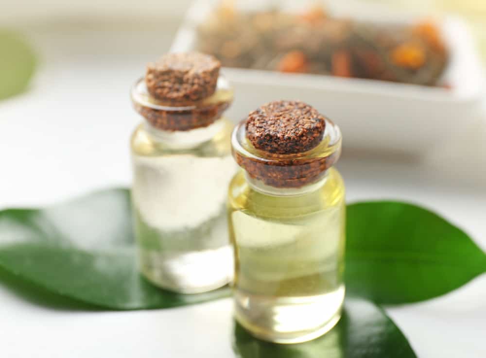 Tea Tree Essential Oil - Amazing Cold and Flu Benefits!